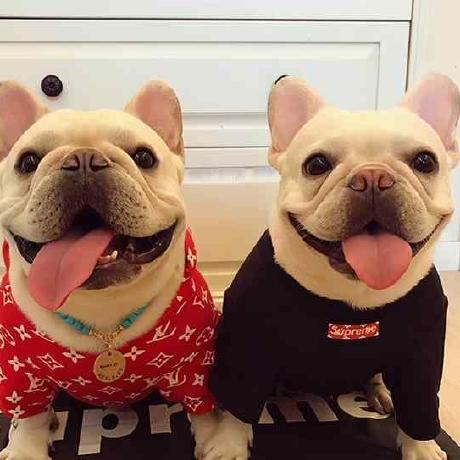 Denver Nerd Github - Modern 4K Sunset Designs | Free Download