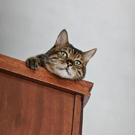 Hon Ker Clay Github - Ocean Image Collection - Desktop Quality