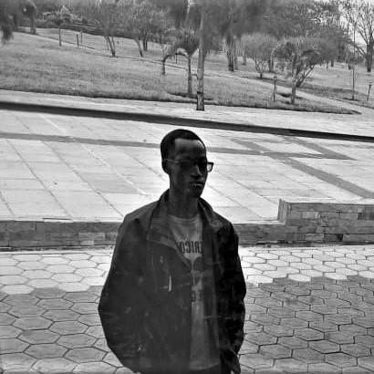 Kingkimura Kimura Github