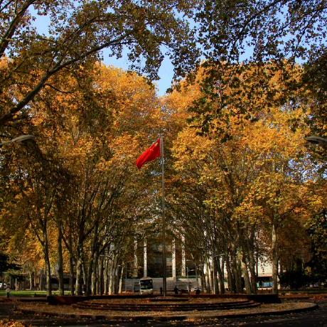 Zhe Eugene Github - Stunning Gradient Wallpaper - Desktop