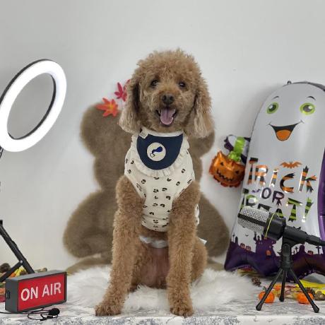 Kim Su Bin Subin Kim Github