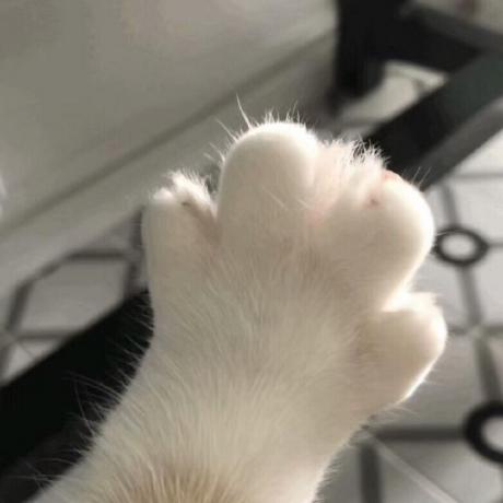 Xymtop Xymtop Github