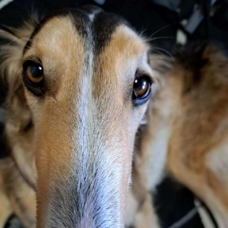 Simon Milata šimon Milata Github