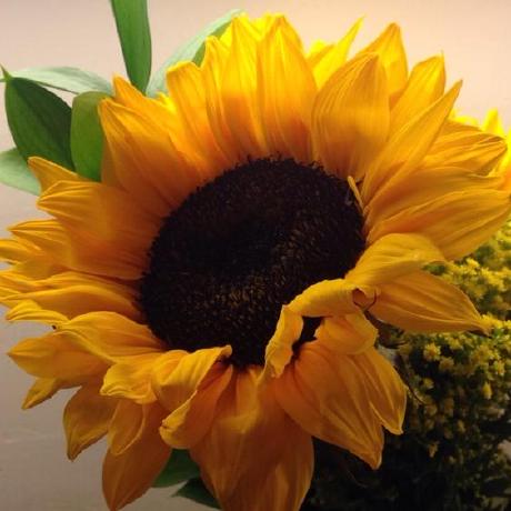 Carolineec Caroline Chan Github