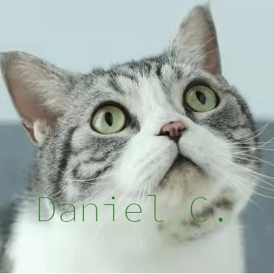 Catx711 Daniel C Github