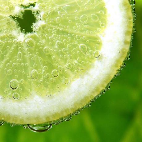 Lemon271 Lemon Github