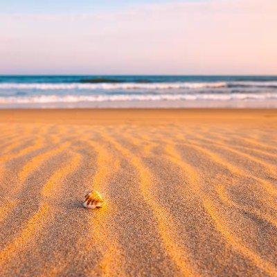 Stone0129 Stone Github