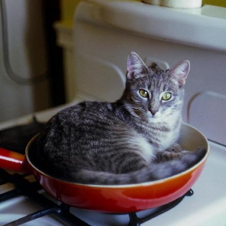 Robin Lt Robin Github