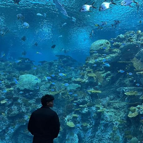 Hector2242 Hector Mendez027 Github