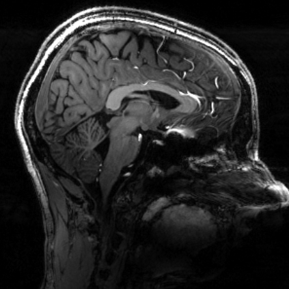 Neuro Related Github