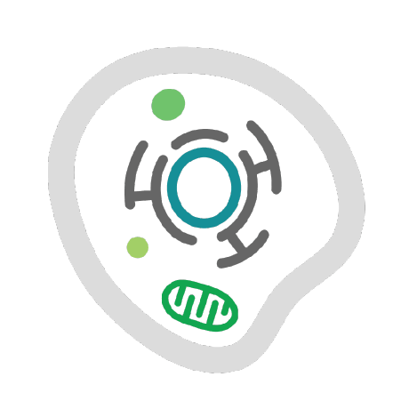 Cellmap Cloud Storage Conventions Cellmap Schemas