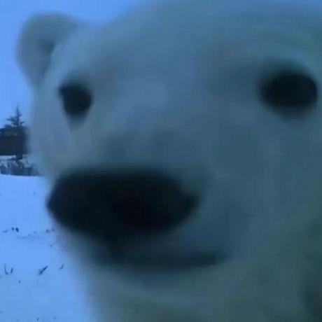 Gabiquadros Github - Mobile Vintage Patterns for Desktop