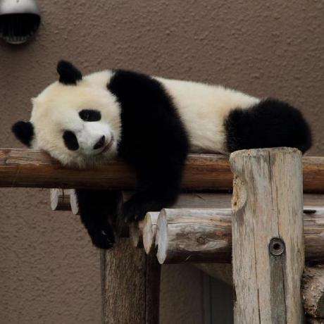 Kitagawa Kitagawa Github - Premium Gradient Photo Gallery - Desktop