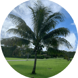 Tkjankowski Roger Jankowski Github