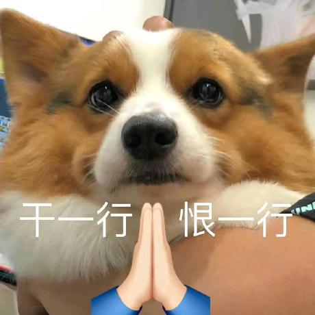 Gangpingz Zhang Gangping Github