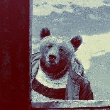 Olexkoval Oleksandr Koval Github