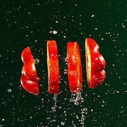 Zicochal Canis Majoris Github