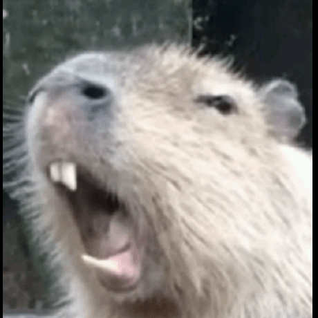 Capivara Tech Github