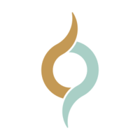 Cyclus Digital Github