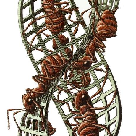 Skystone International Github