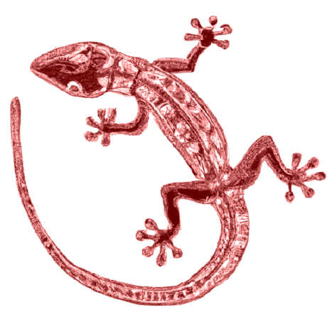 Github Molimpio Python Fluente Repositorio De Codigos Para - Premium Nature Background Gallery - Ultra HD