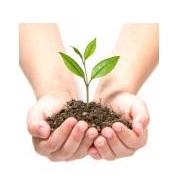 Forester521 Forester Github