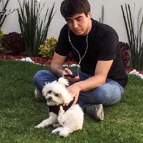 Rogercd Roger Github