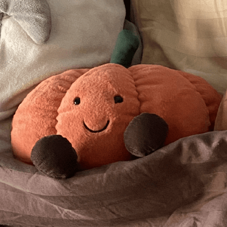 Pumpkin2025 Sweet Pumpkin Github