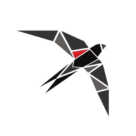 Black Swift Co Github