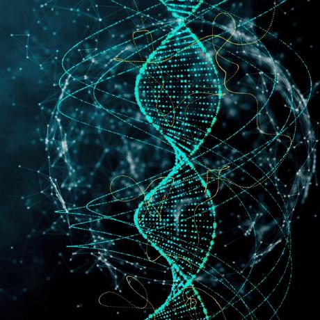 Nswhp Genomics Github