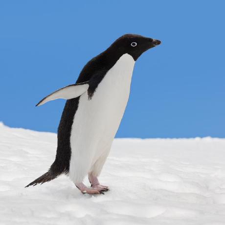 Barryeasy90 M Barry Github