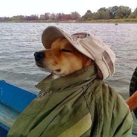 Gabrielll04 Gabriel Github