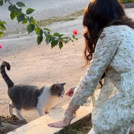 Aditi755 Aditi Bhadoriya Github