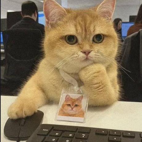 Github Maram Alsharif Overview - Mobile Vintage Pictures for Desktop