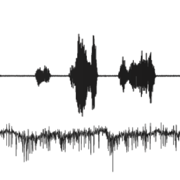 Rtachi Lab Rtachi Github