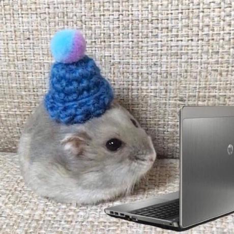 A Lissa Alissa Github