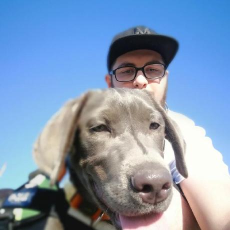 Marco Will Marco Github