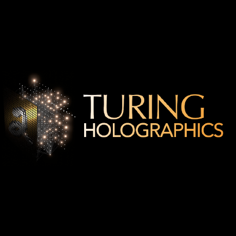 Turing Holographics Github