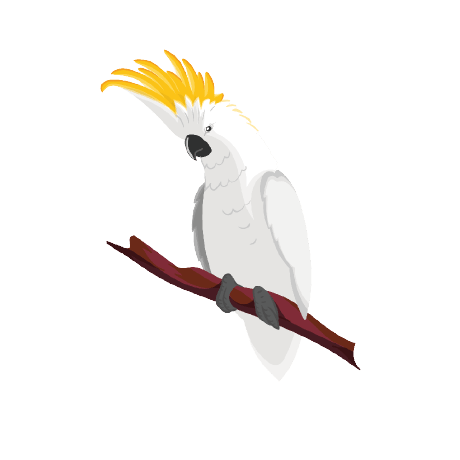 Cuhadaroglucom Cuhadaroglu Github