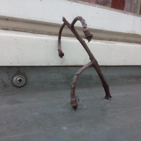 Leoauri Leo Auri Github