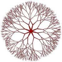 Neurohackweek Github