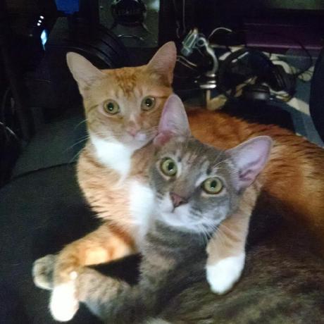 Barrysumma Barry Github