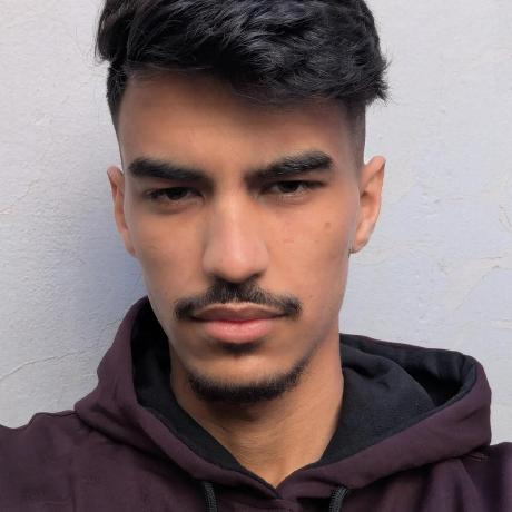 Ryanhamdaoui Hamdaoui Ryan Github