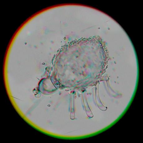 Yyang35 Sherry Yang Github