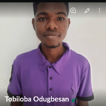 Thobiefemi93 Tobiloba Odugbesan Github