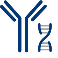 Antibody Engineers Github