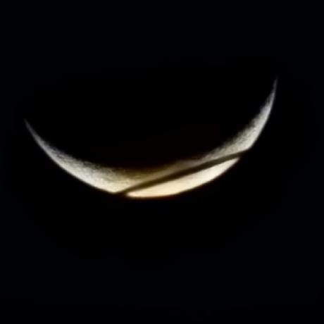 Miltonalvarado Milton Github