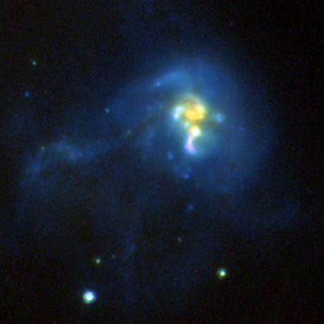 Guojyjy Jiaying Guo Github