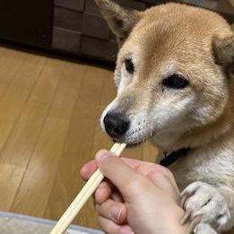 Ayano Kobayashi Lvgs Ayano Kobayashi Lvgs Github