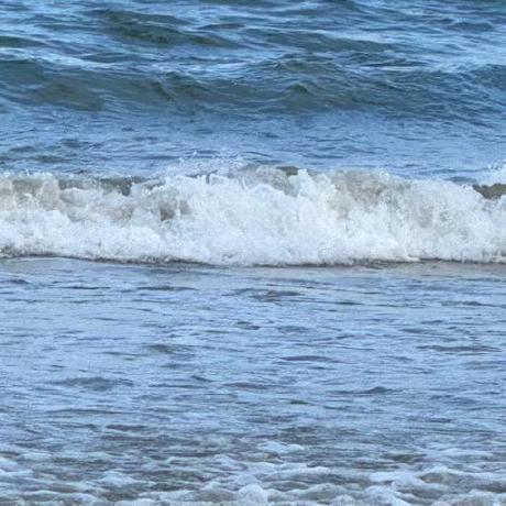 Shengy1fei Yifei Sheng Github